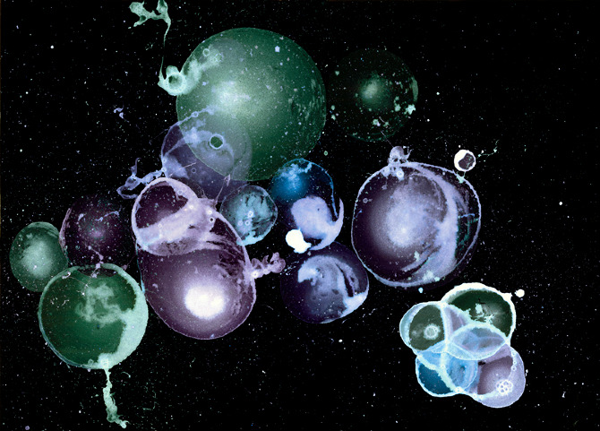 The Local Bubble - NANCY MUNFORD