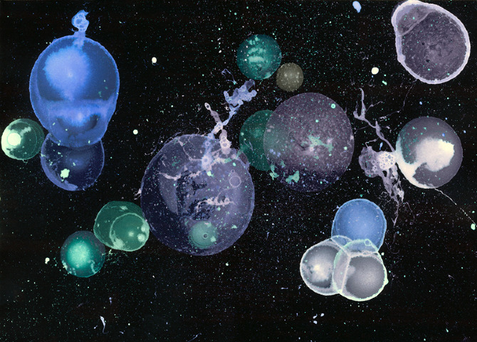 The Local Bubble - NANCY MUNFORD