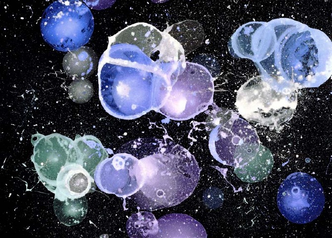 The Local Bubble - NANCY MUNFORD