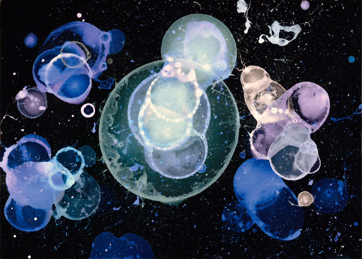 The Local Bubble - NANCY MUNFORD