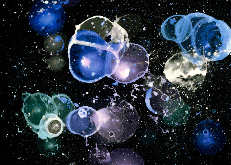 The Local Bubble - NANCY MUNFORD