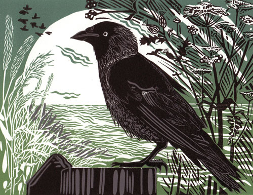 Jackdaw - http://www.pamgrimmond.co.uk/