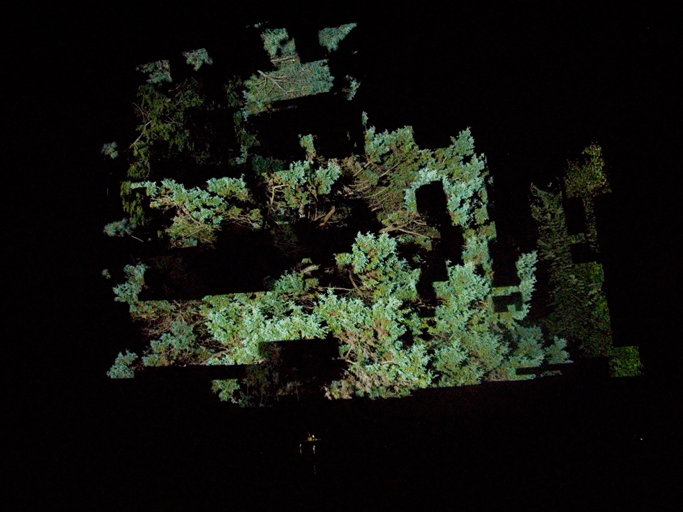 Tree projections - Gregory Kowalski