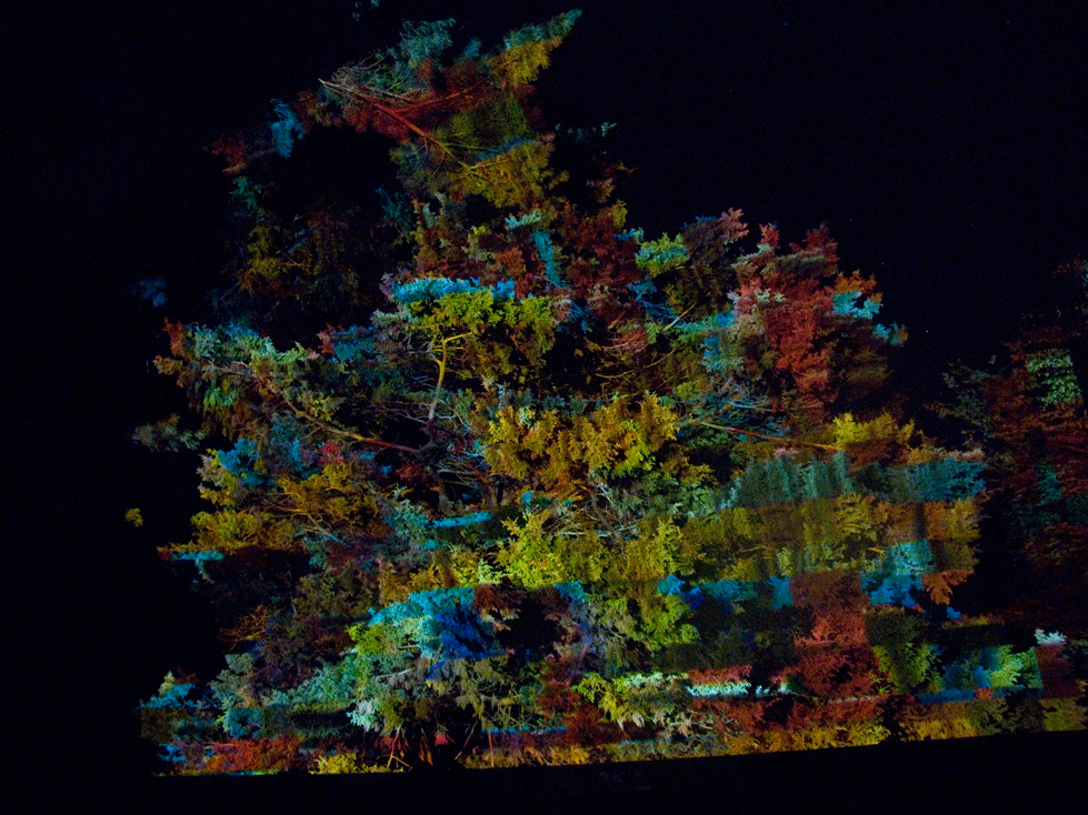 Tree projections - Gregory Kowalski