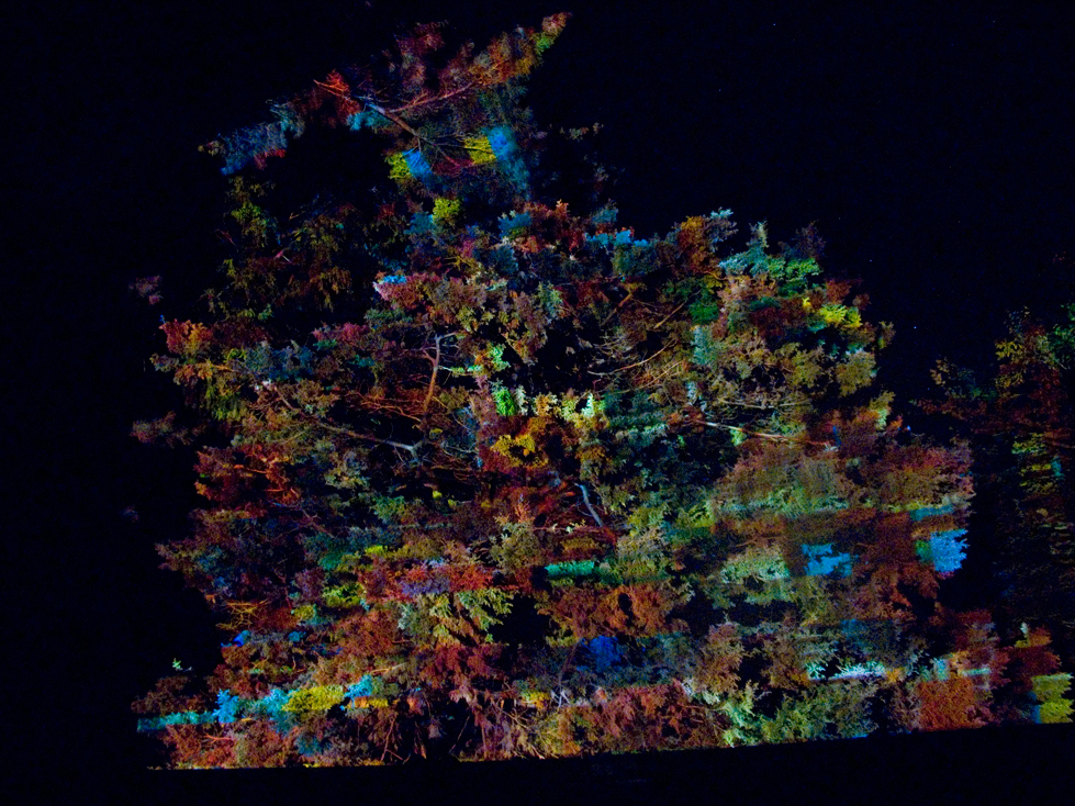 Tree projections - Gregory Kowalski