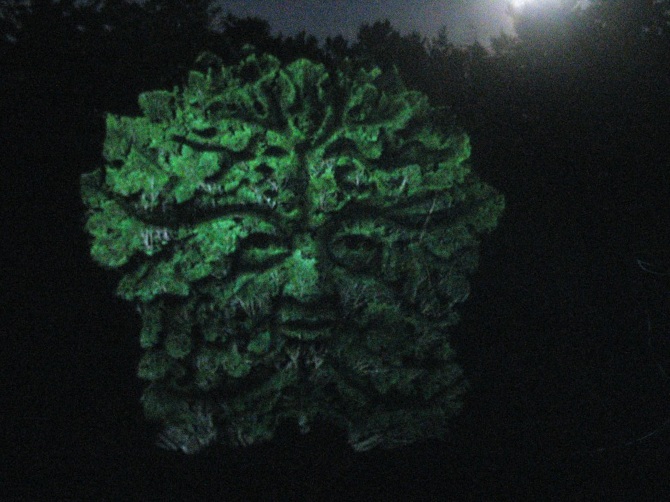 Tree projections - Gregory Kowalski