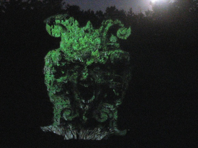 Tree projections - Gregory Kowalski