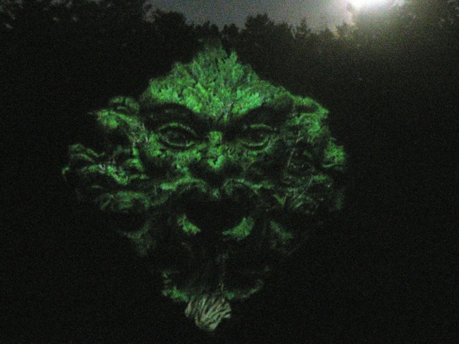 Tree projections - Gregory Kowalski