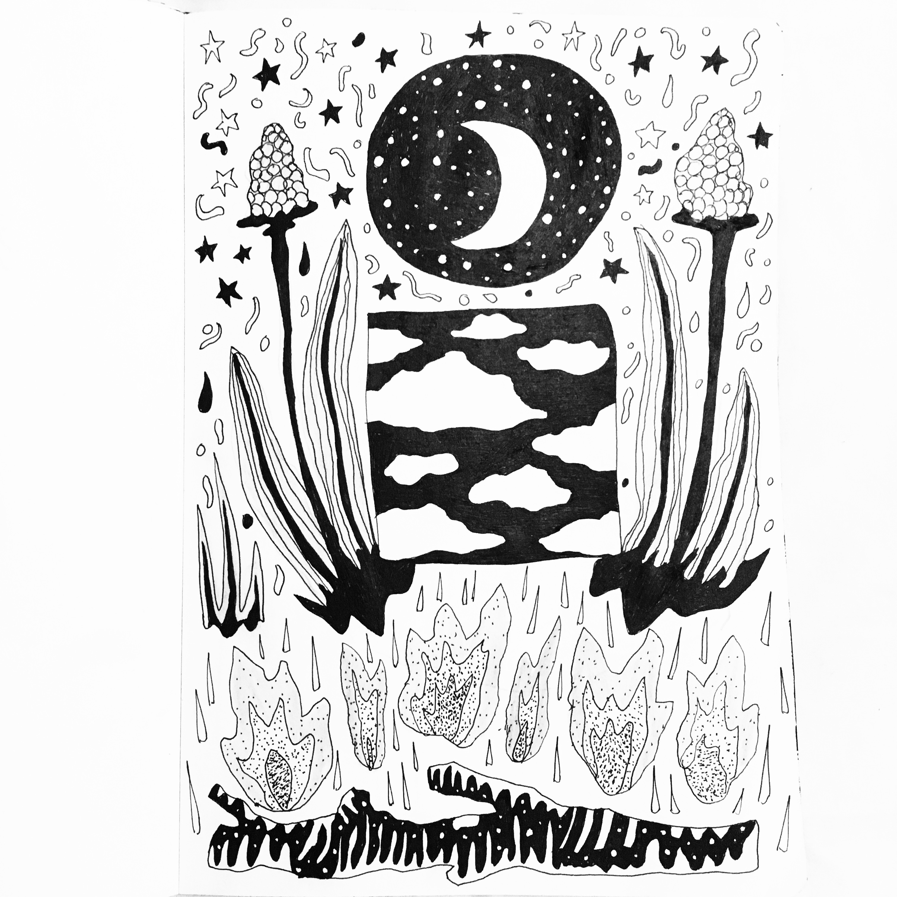 DRAWINGS/ILLUSTRATIONS - gabriella rush