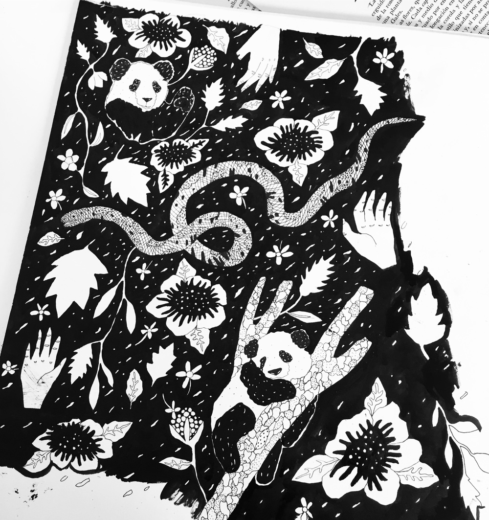 DRAWINGS/ILLUSTRATIONS - gabriella rush