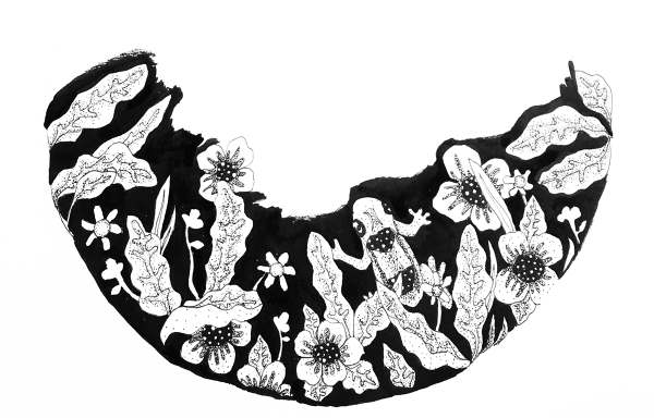 DRAWINGS/ILLUSTRATIONS - gabriella rush