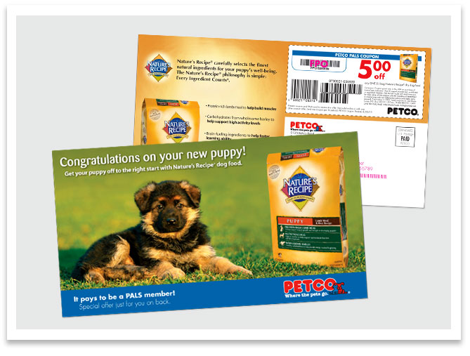 Nature's Recipe Collateral - vorpdesign