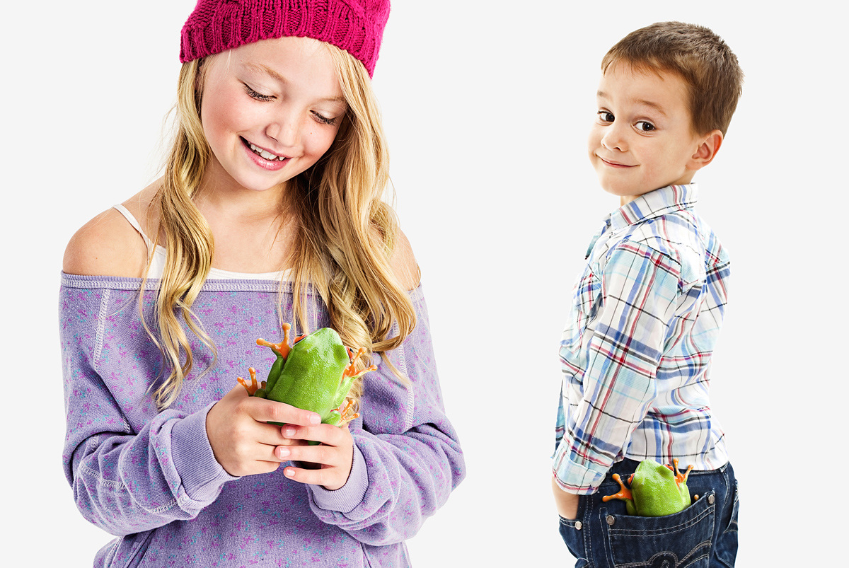 Smart Frog - Mitin/Design