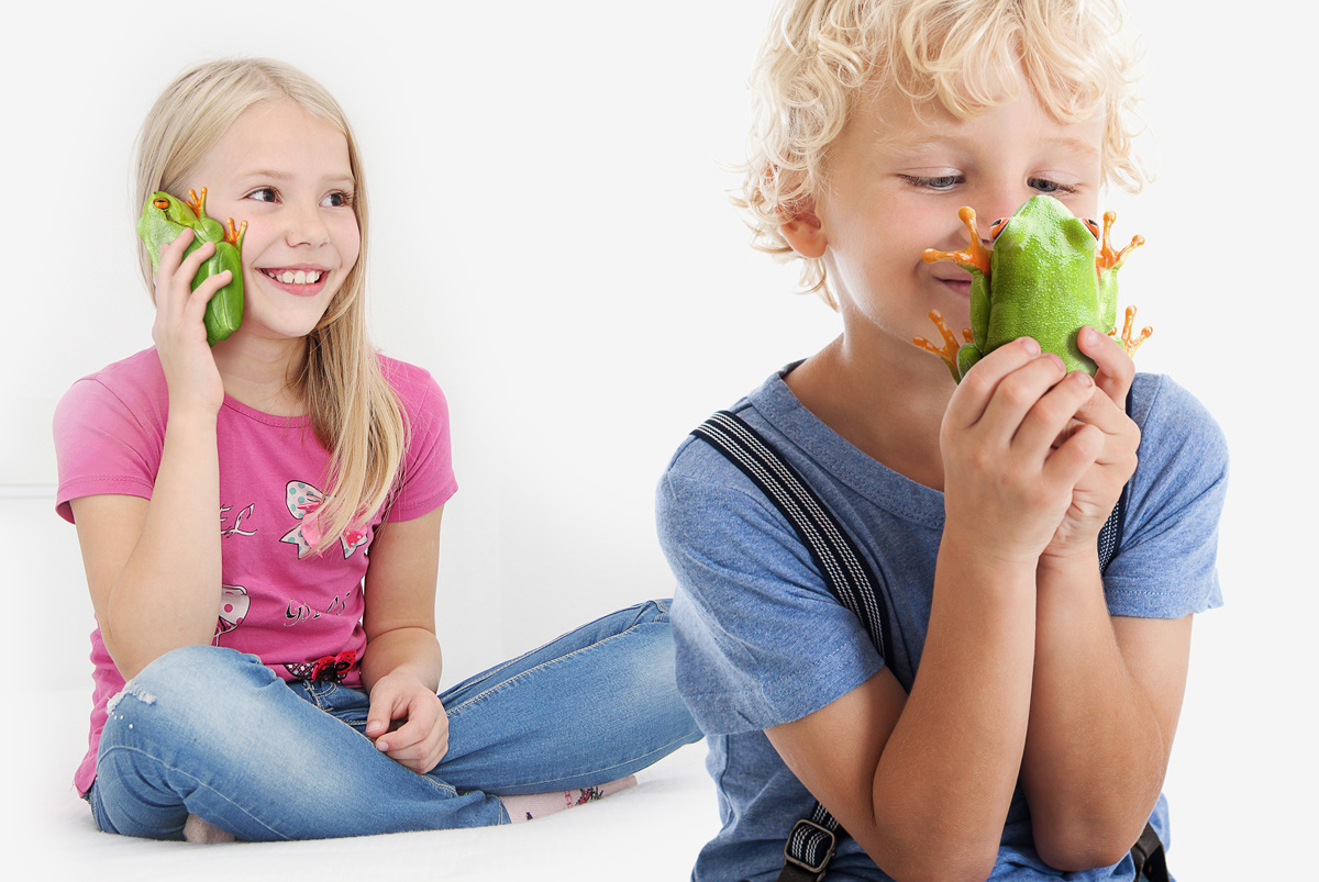 Smart Frog - Mitin/Design