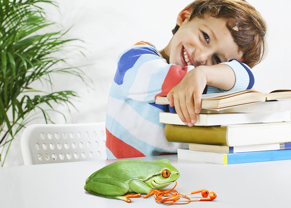 Smart Frog - Mitin/Design