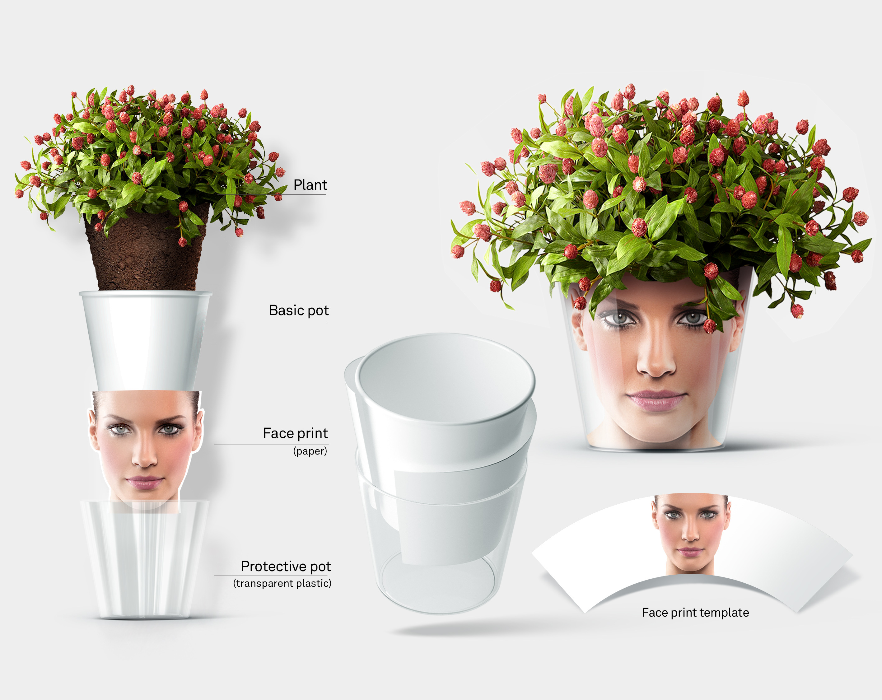 Facepot - Mitin/Design