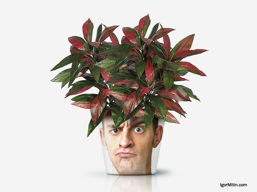 Facepot - Mitin/Design