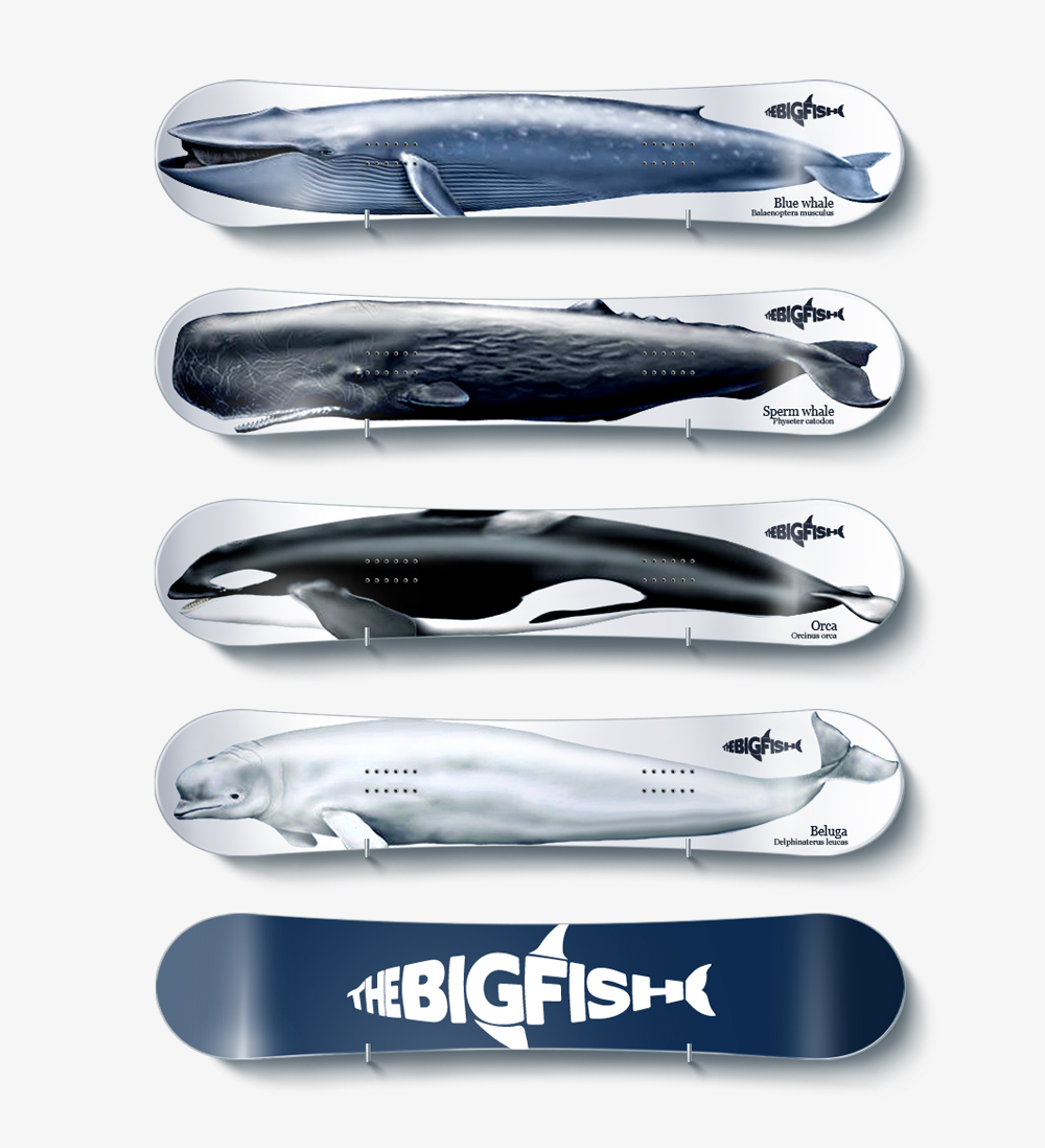 Snowboards - Mitin/Design