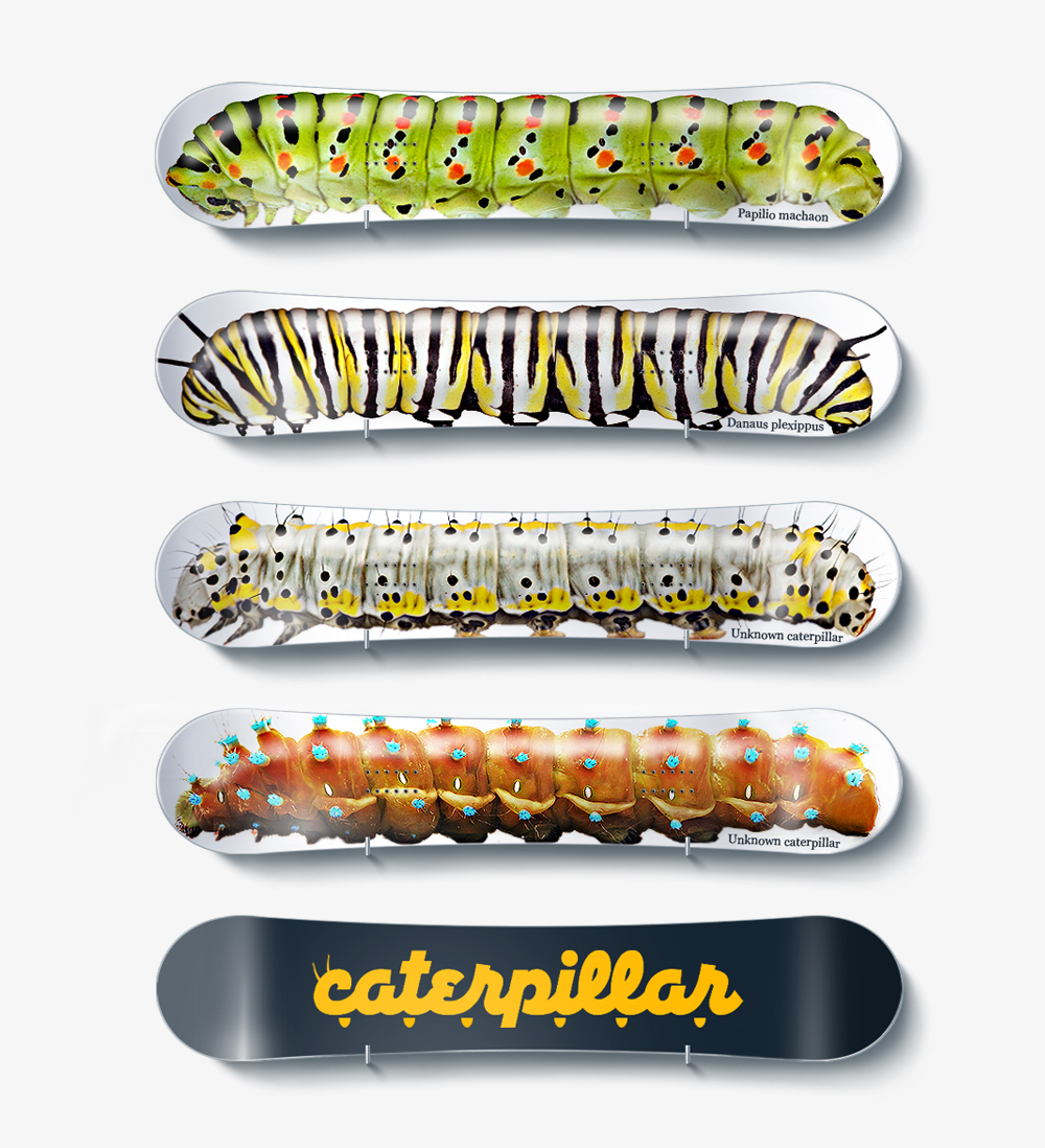 Snowboards - Mitin/Design
