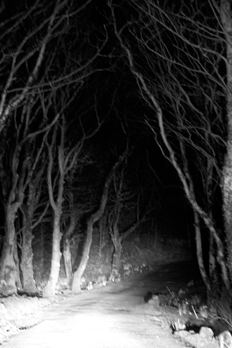 hgothic - usparis-photography