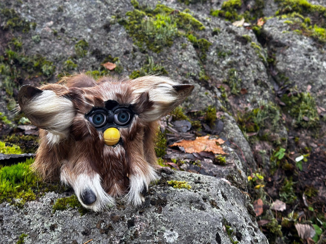 Real Fur Furby - Steve Maher Art