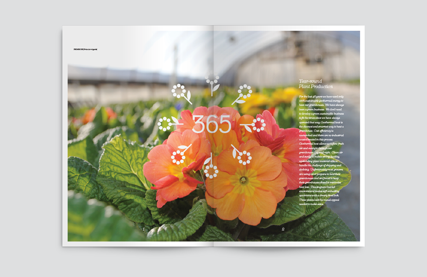 Ward’s Brochure - Tyler Bingham