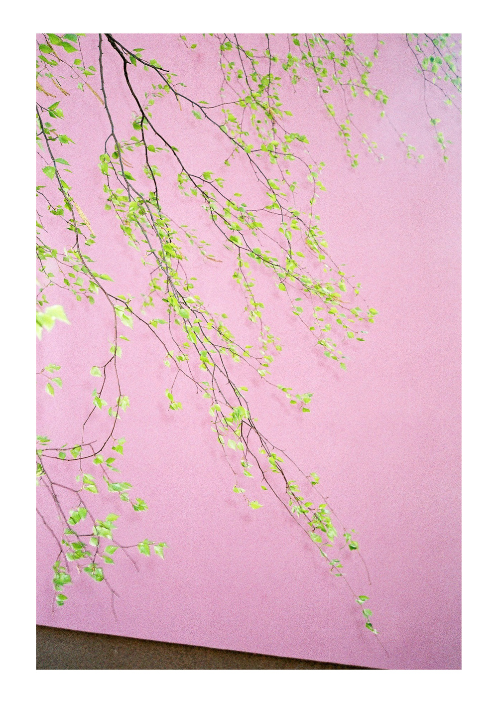 No Dream To Dream - Alexander Bondar Photography