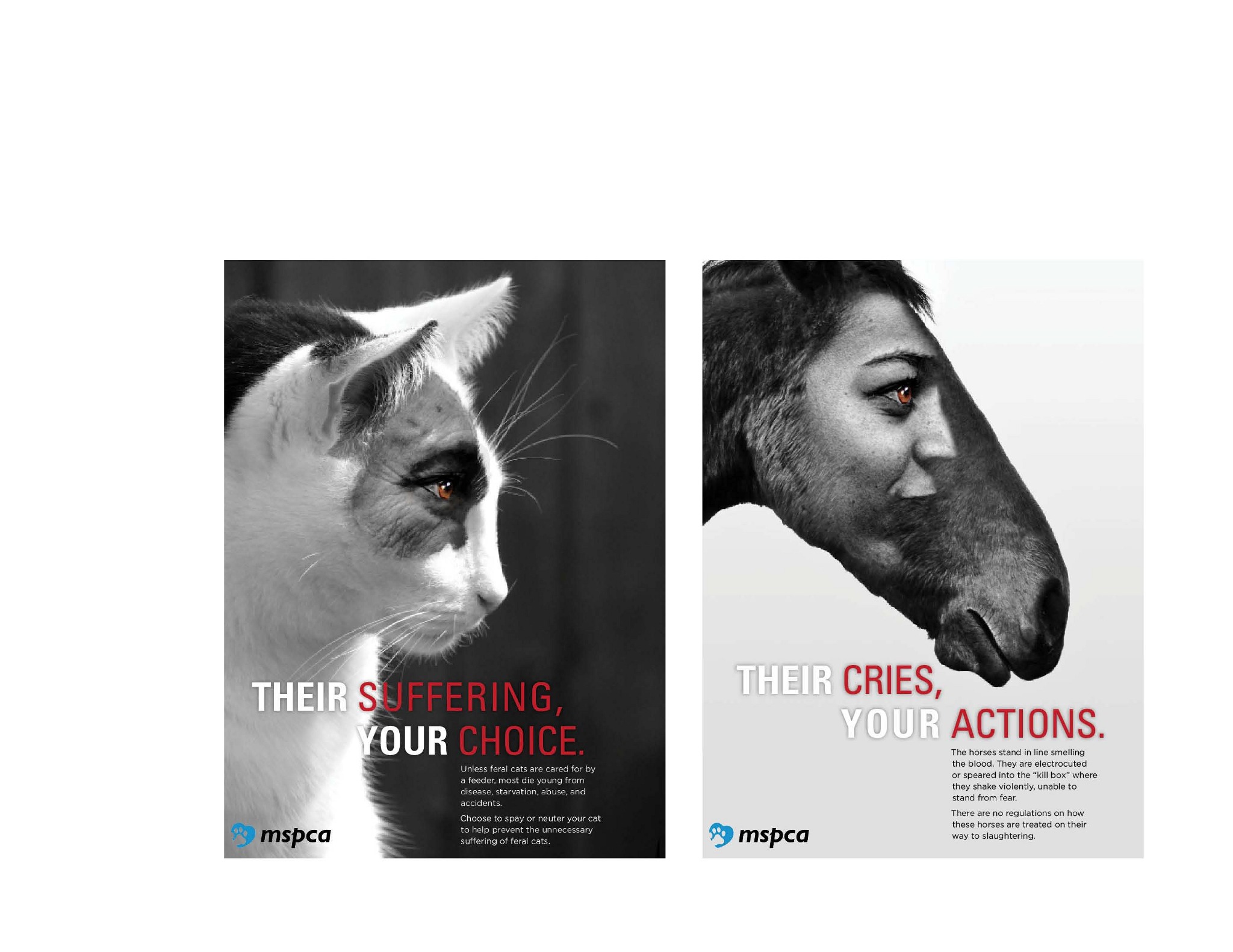 MSPCA Poster Series - Shauna Leavitt