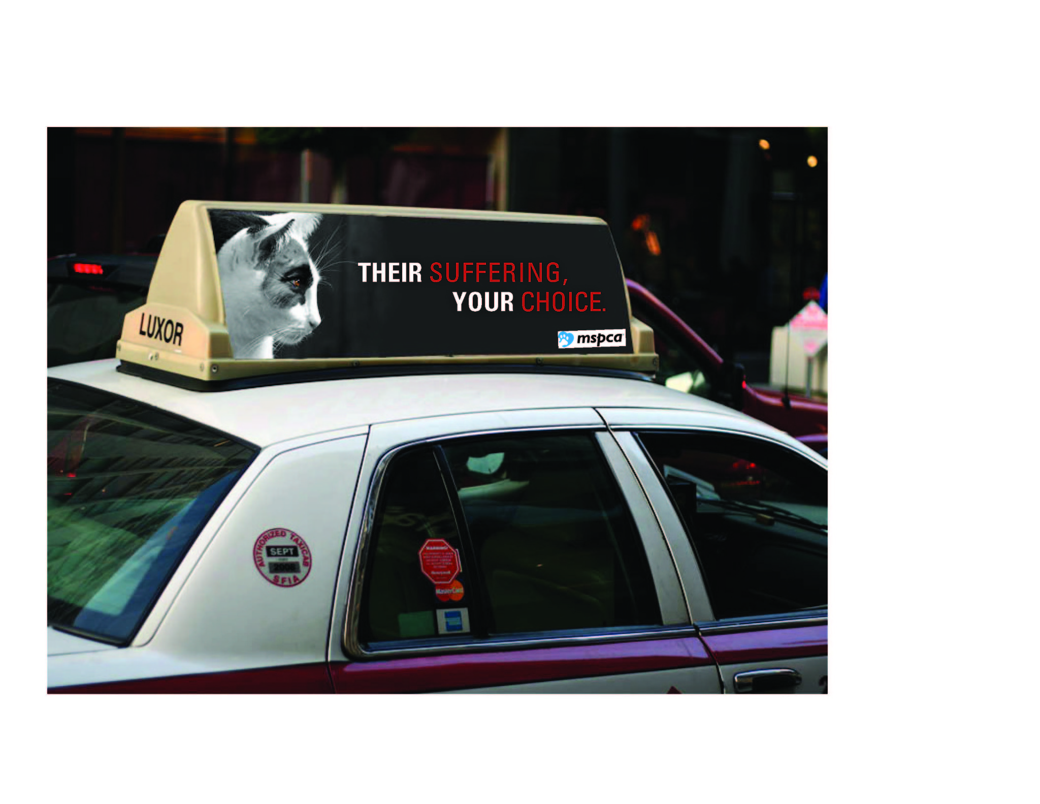 MSPCA Poster Series - Shauna Leavitt