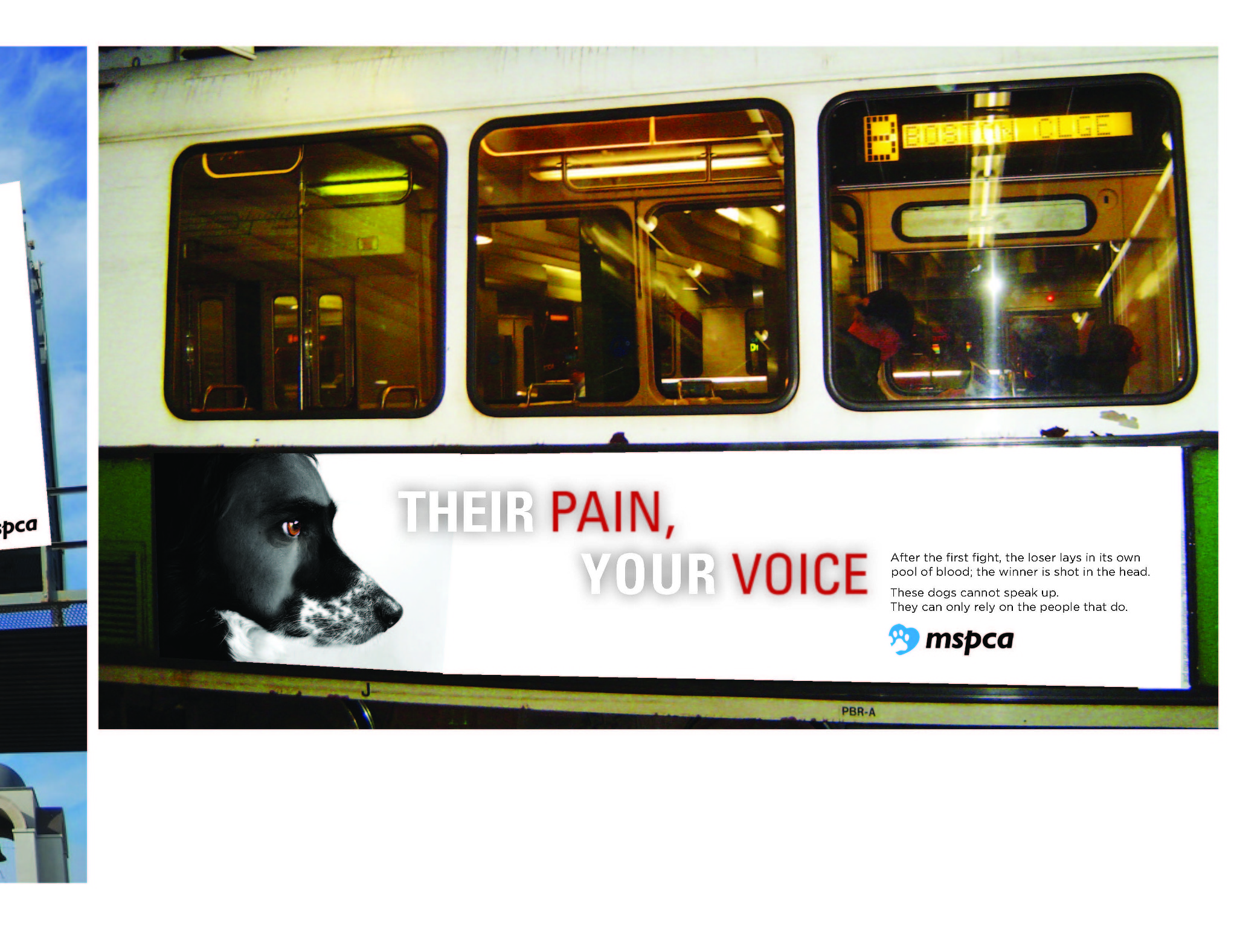 MSPCA Poster Series - Shauna Leavitt