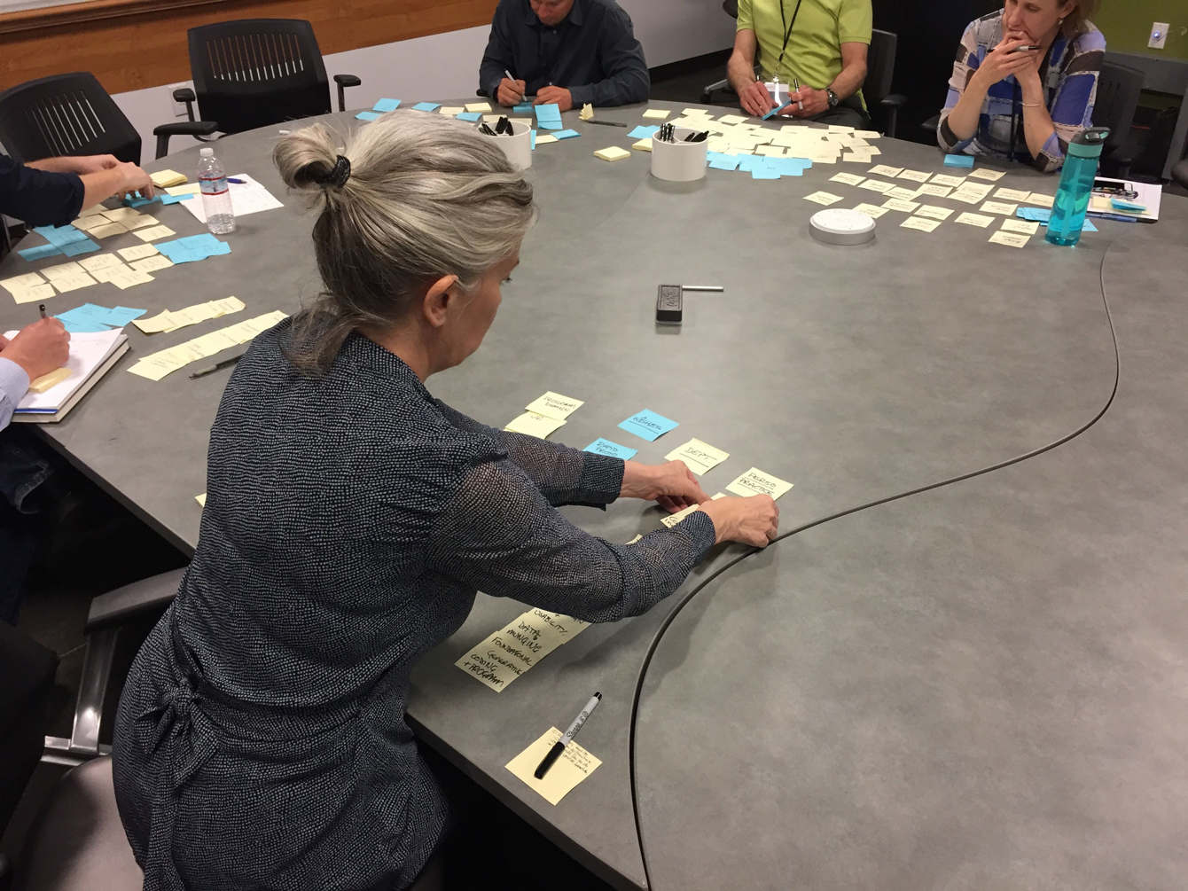 Data Visualization as Participatory Action Research Method - Andrew DeRosa