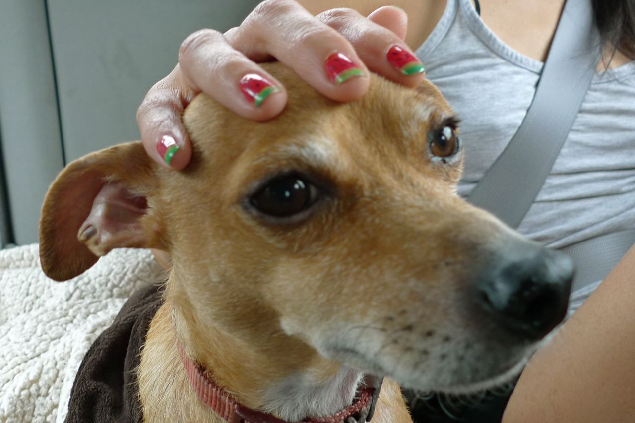 NAILS - rosaliephoto.com