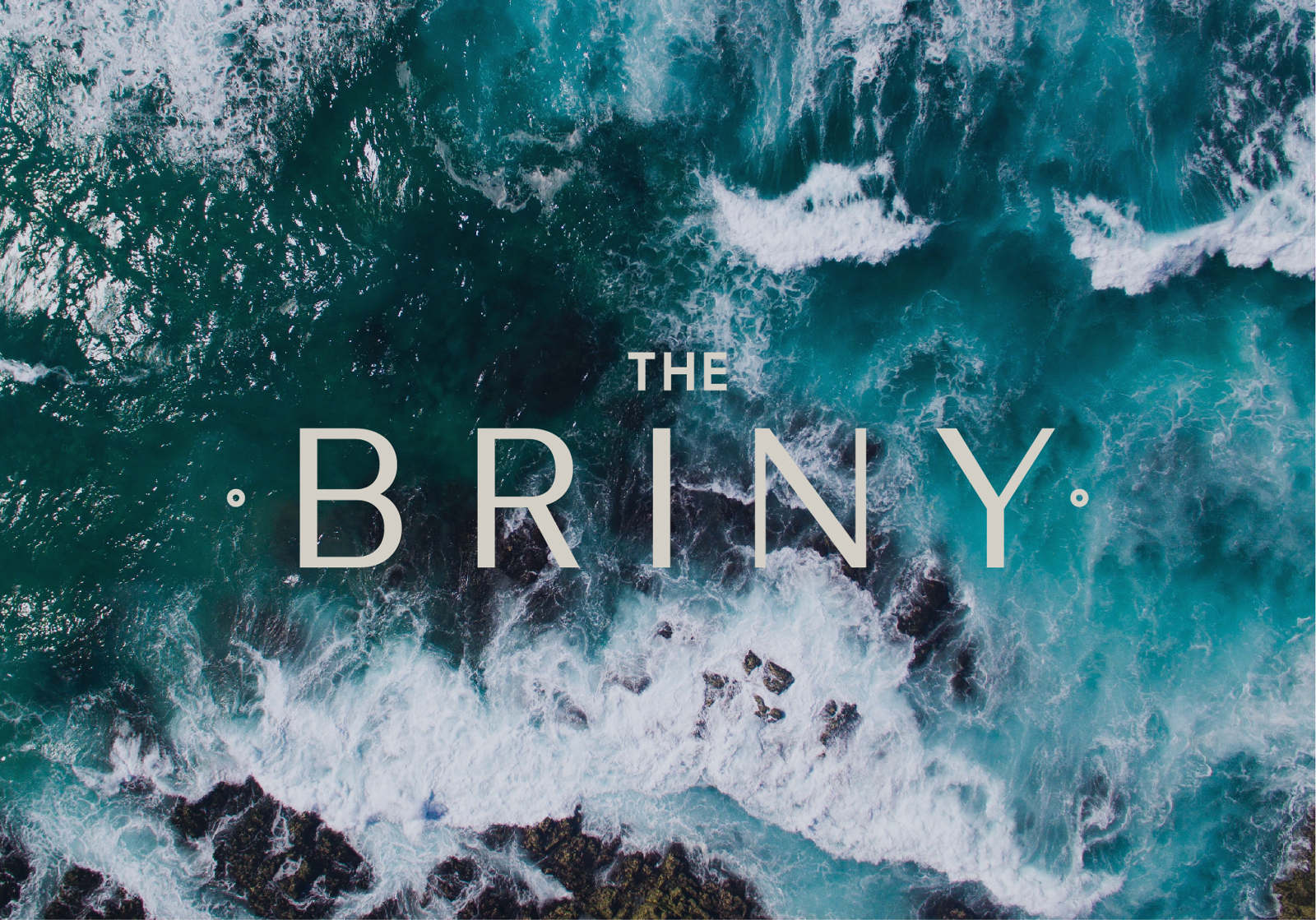 The Briny - Freelance Graphic Designer | George Simkin | London