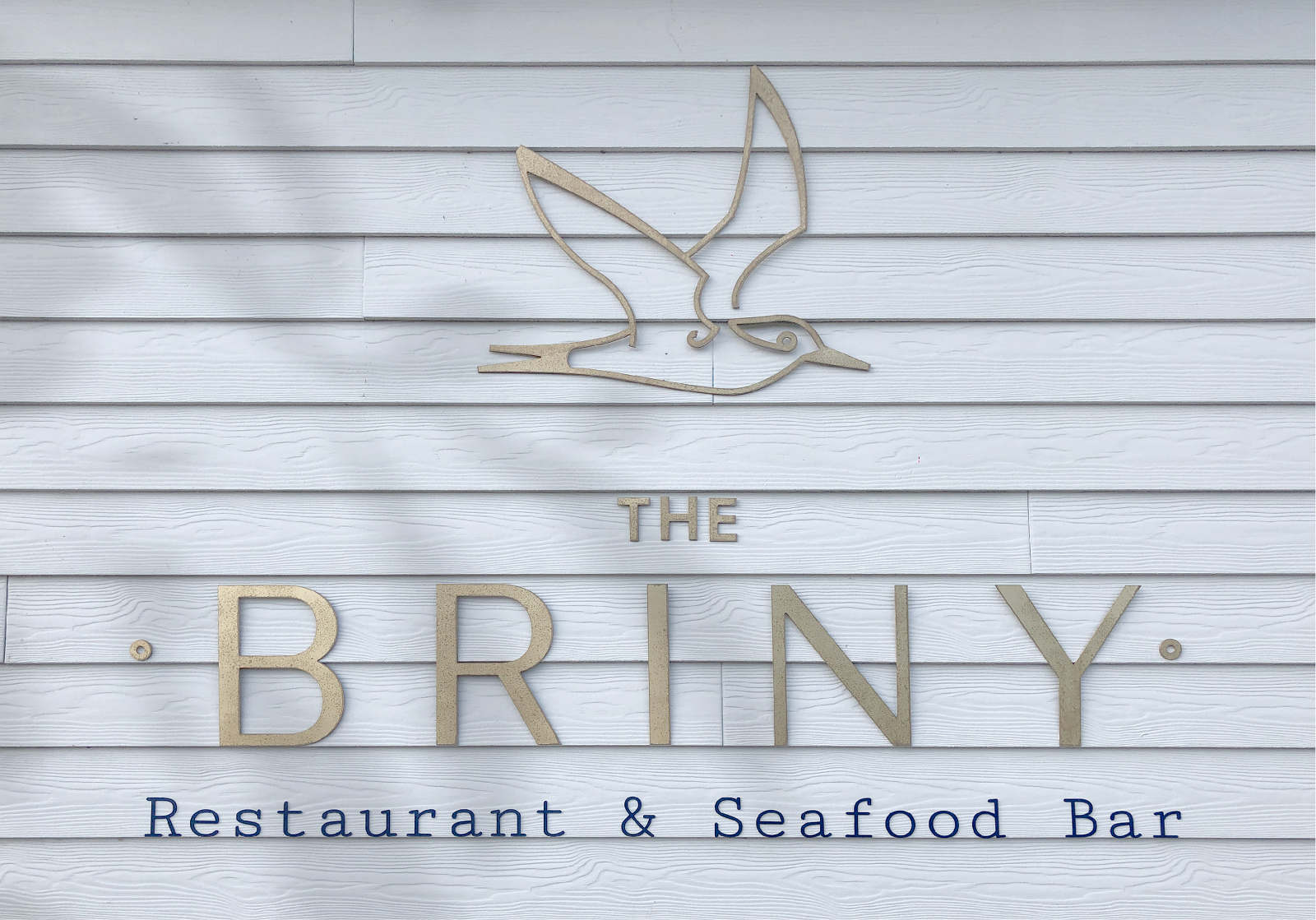 The Briny - Freelance Graphic Designer | George Simkin | London