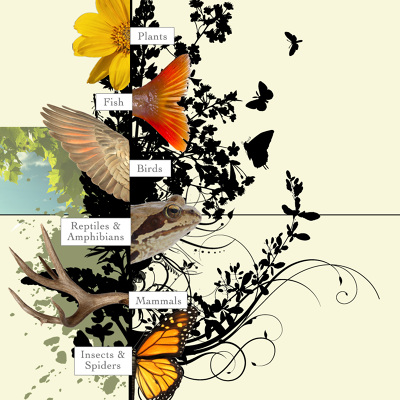 Smithsonian Interactive Map - Michael Hays, Illustrator, Designer ...