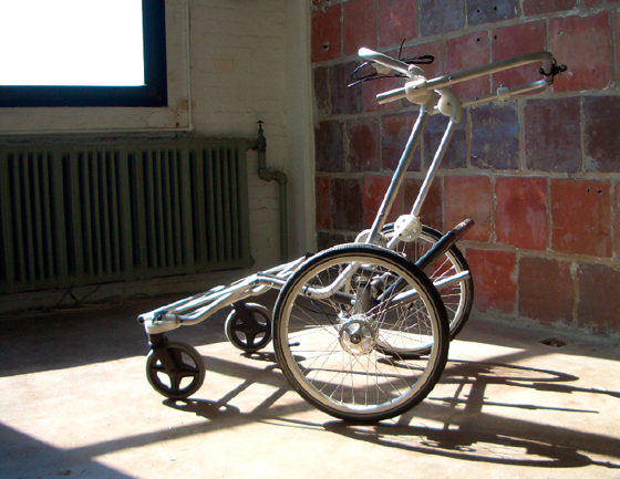 Zigo Leader X2 Carrier Bike - Brian Rhee