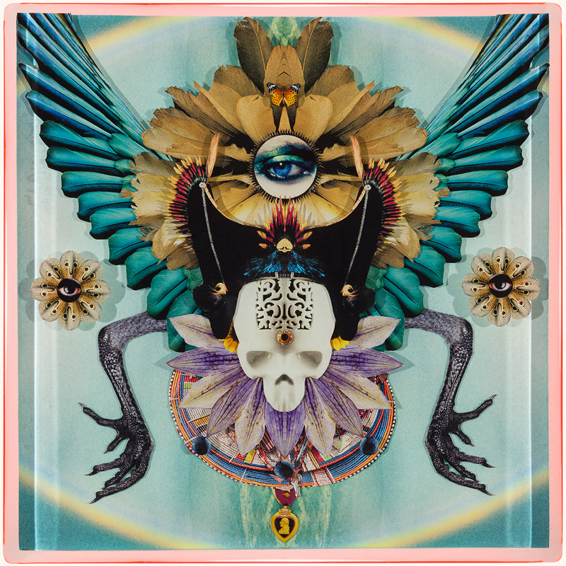 TRIBAL BLOSSOM - Sebastian Wahl