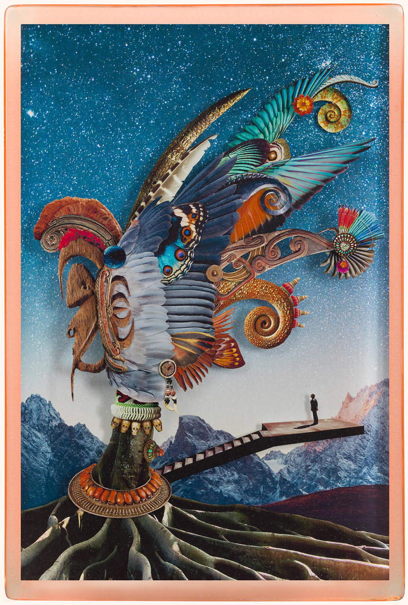 GOOD BIRD - Sebastian Wahl