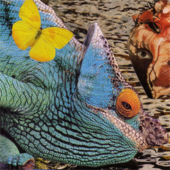 SPIRIT BIRD 2 - Sebastian Wahl