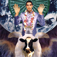 SPIRIT BIRD 2 - Sebastian Wahl