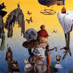 SPIRIT BIRD 2 - Sebastian Wahl