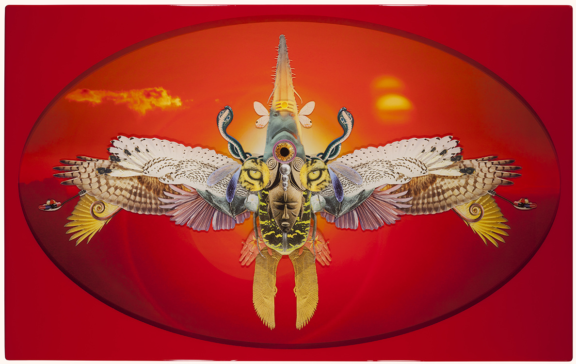 SPIRIT BIRD - Sebastian Wahl