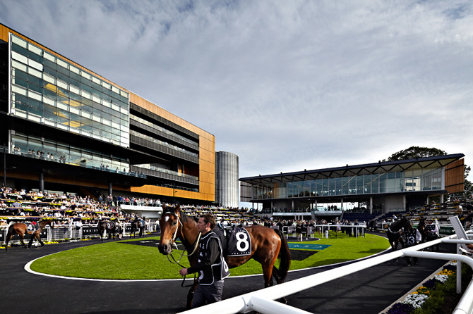 Royal Randwick Racecourse - TM PHOTO
