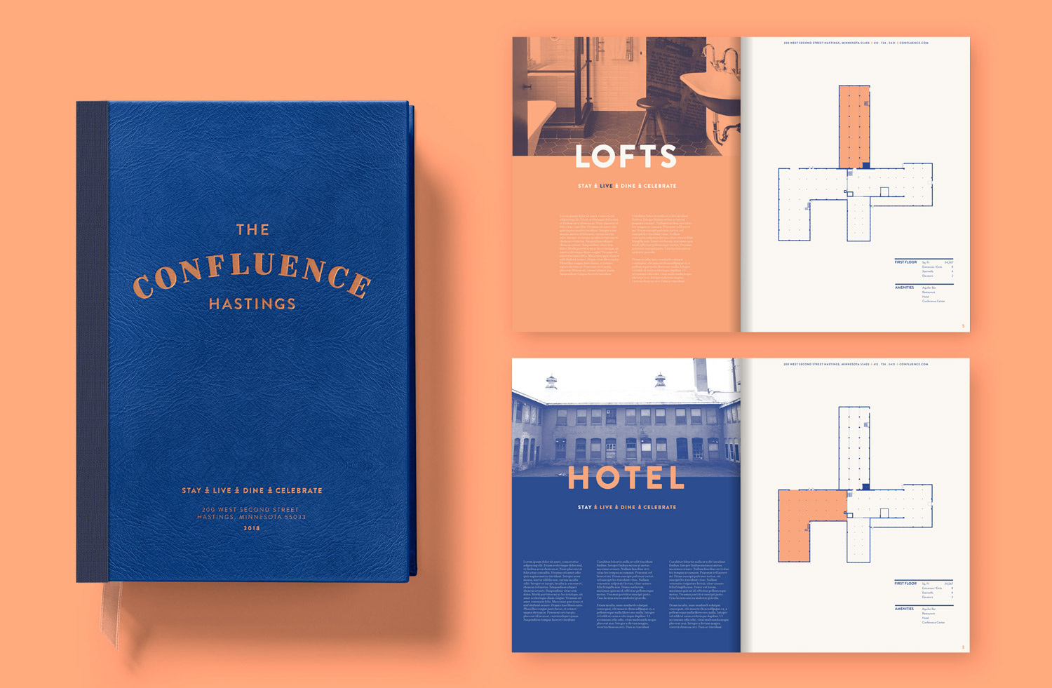 The Confluence - Dipped In Acid