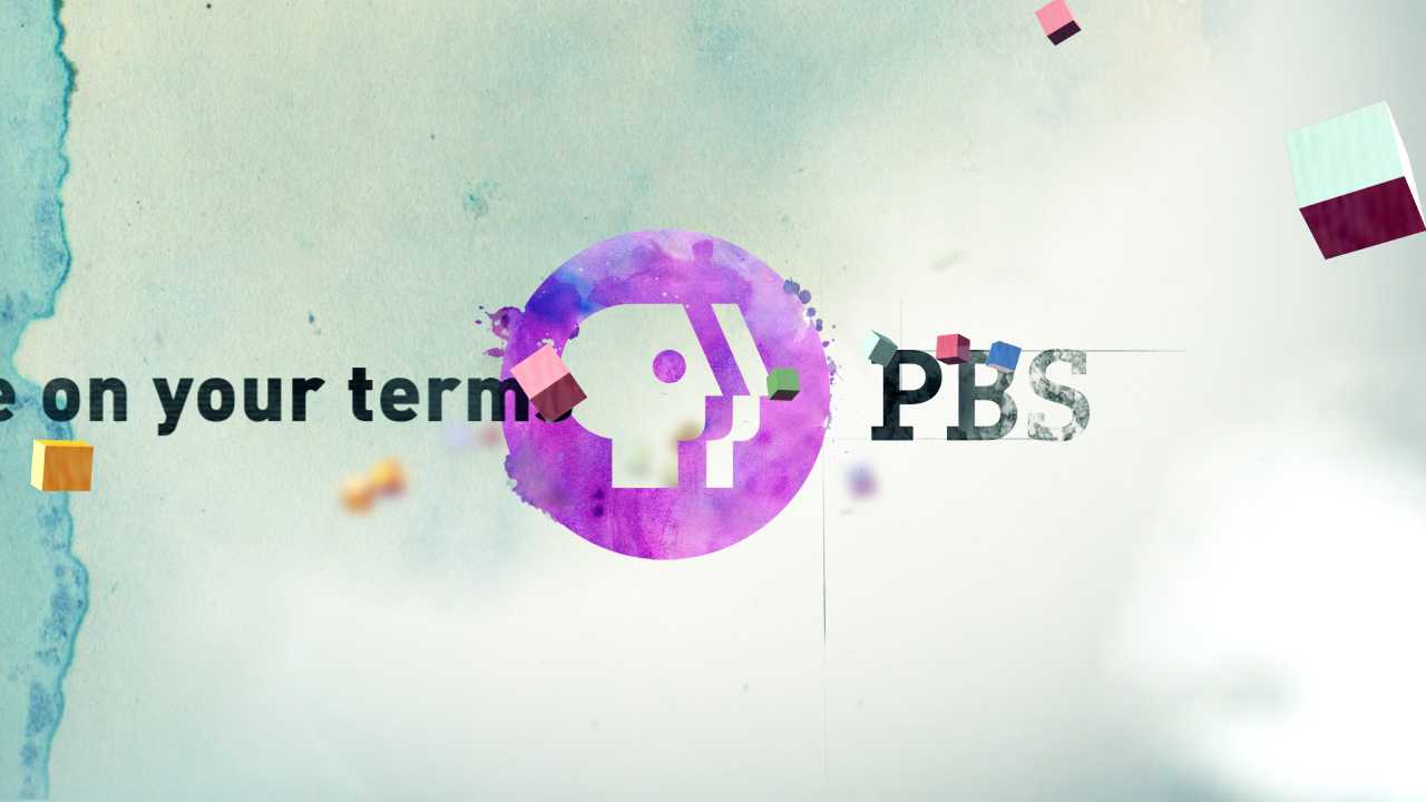 PBS_Rebranding_styleframeDesign - lindsayxiongworks