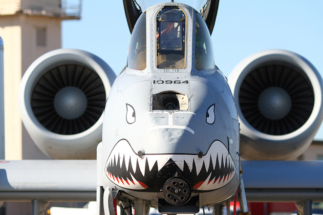 A-10 FLYING TIGER NOSE ART - Randy Willoughby
