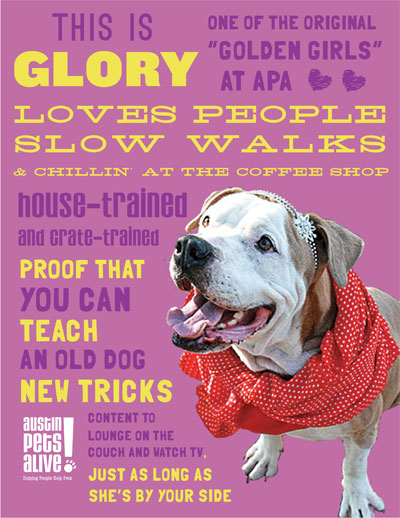 APA Flyers - Clint Wells Design Work