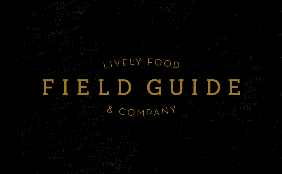 Field Guide - Eric Lohman - Creative Director