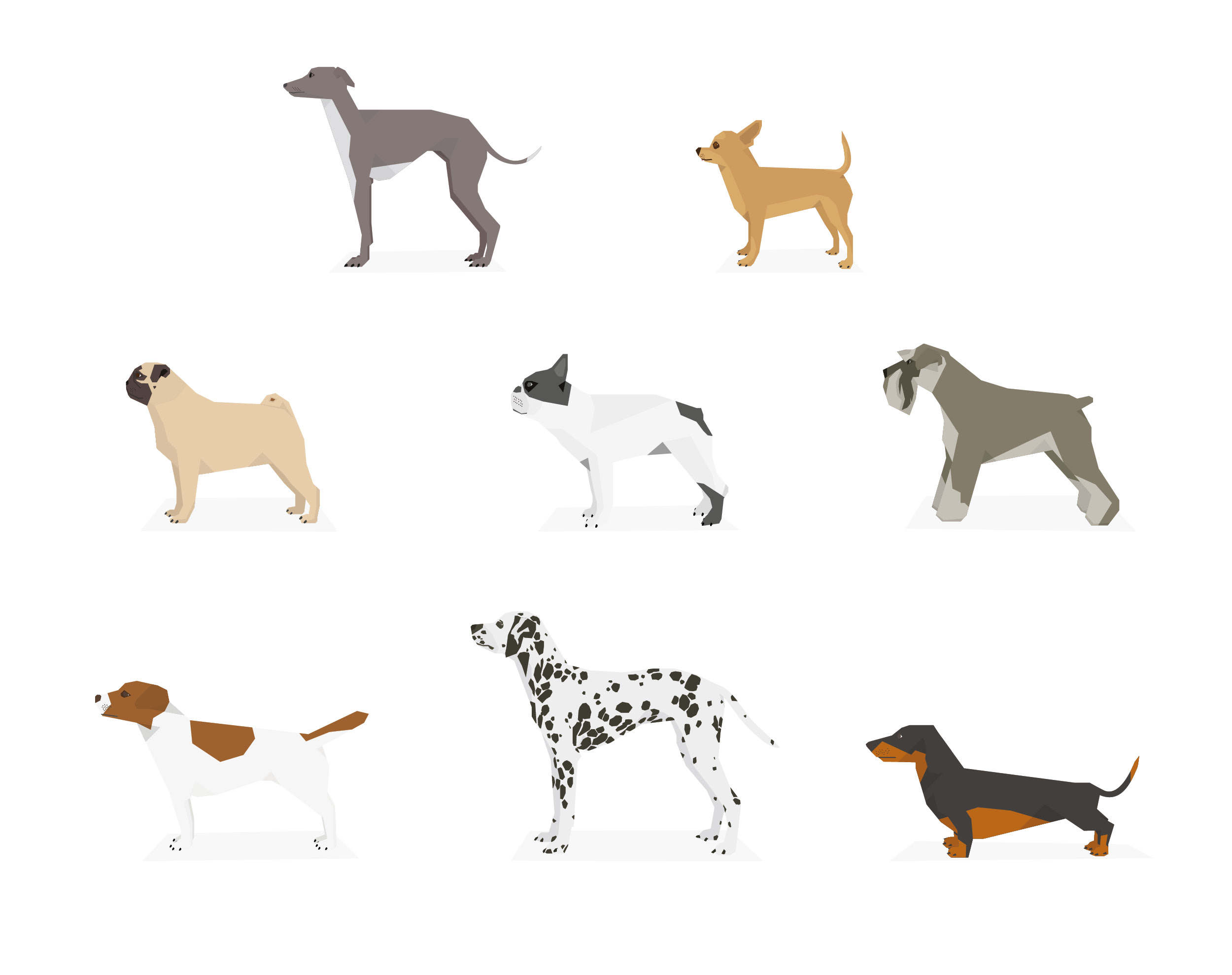 Dog Illustrations - Graeme Helliwell