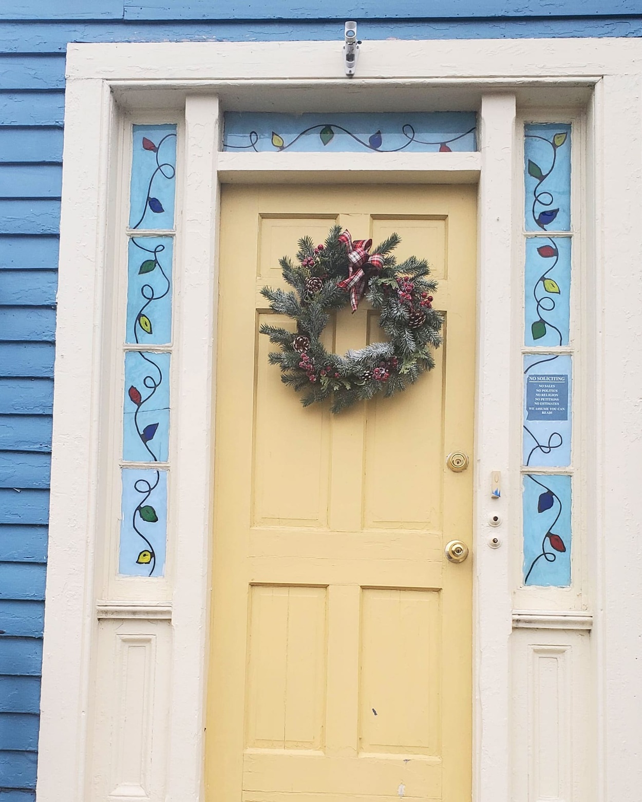 Quarantine Window Painting Project - Katharine Haber